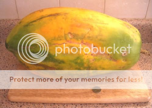 One large Papaya! | Nick and Miri's PR Prattle