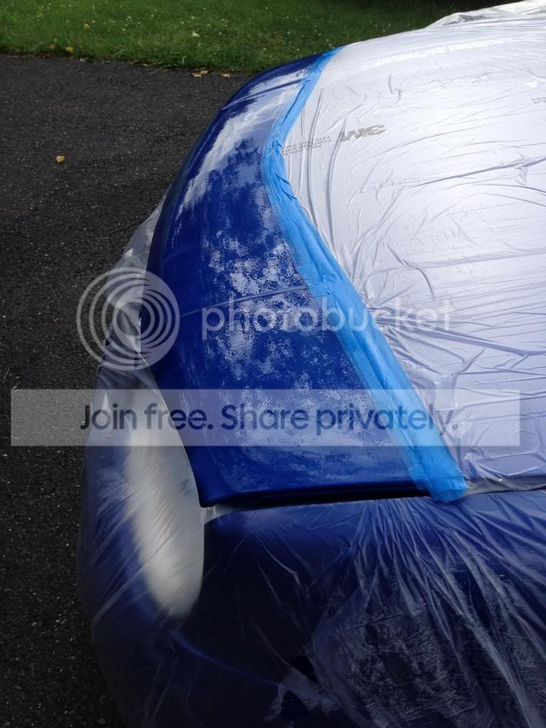 Solution for hood bra damage? | VW Vortex - Volkswagen Forum