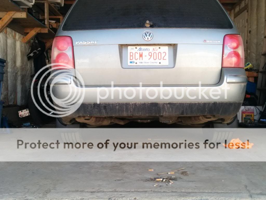 eBay 15$ chinese mud flaps | VW Vortex - Volkswagen Forum